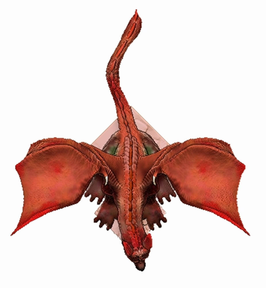 Winged Dog Dragon Looking Down - 3D Model by zubi