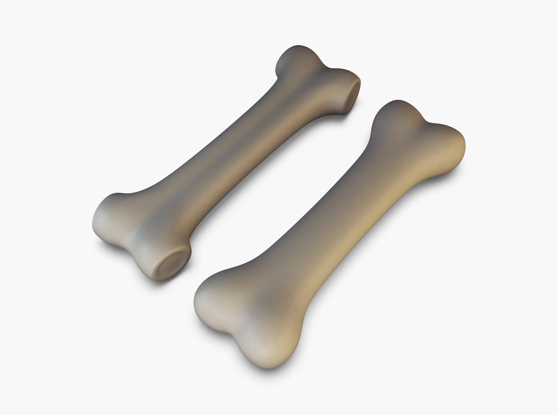 Cartoon Bones V 2 - 3D Model by Zurel