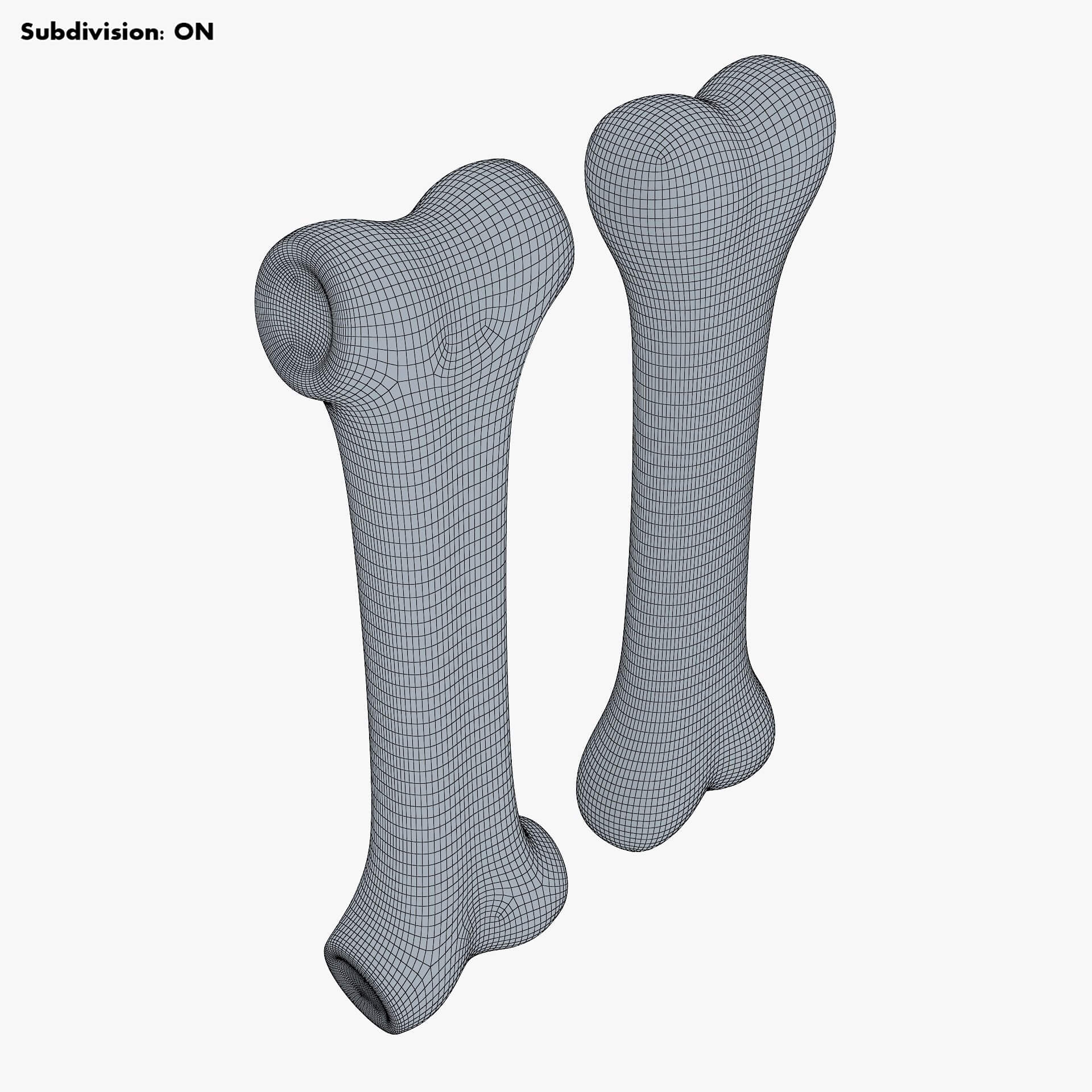 Cartoon Bones V 2 - 3D Model by Zurel