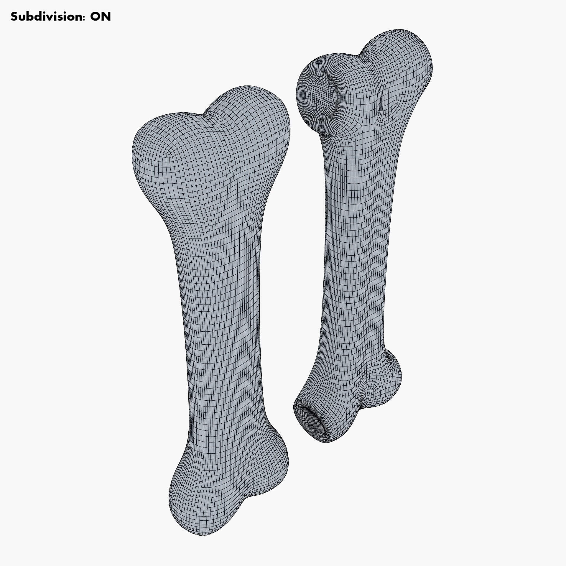 Cartoon Bones V 2 - 3D Model by Zurel