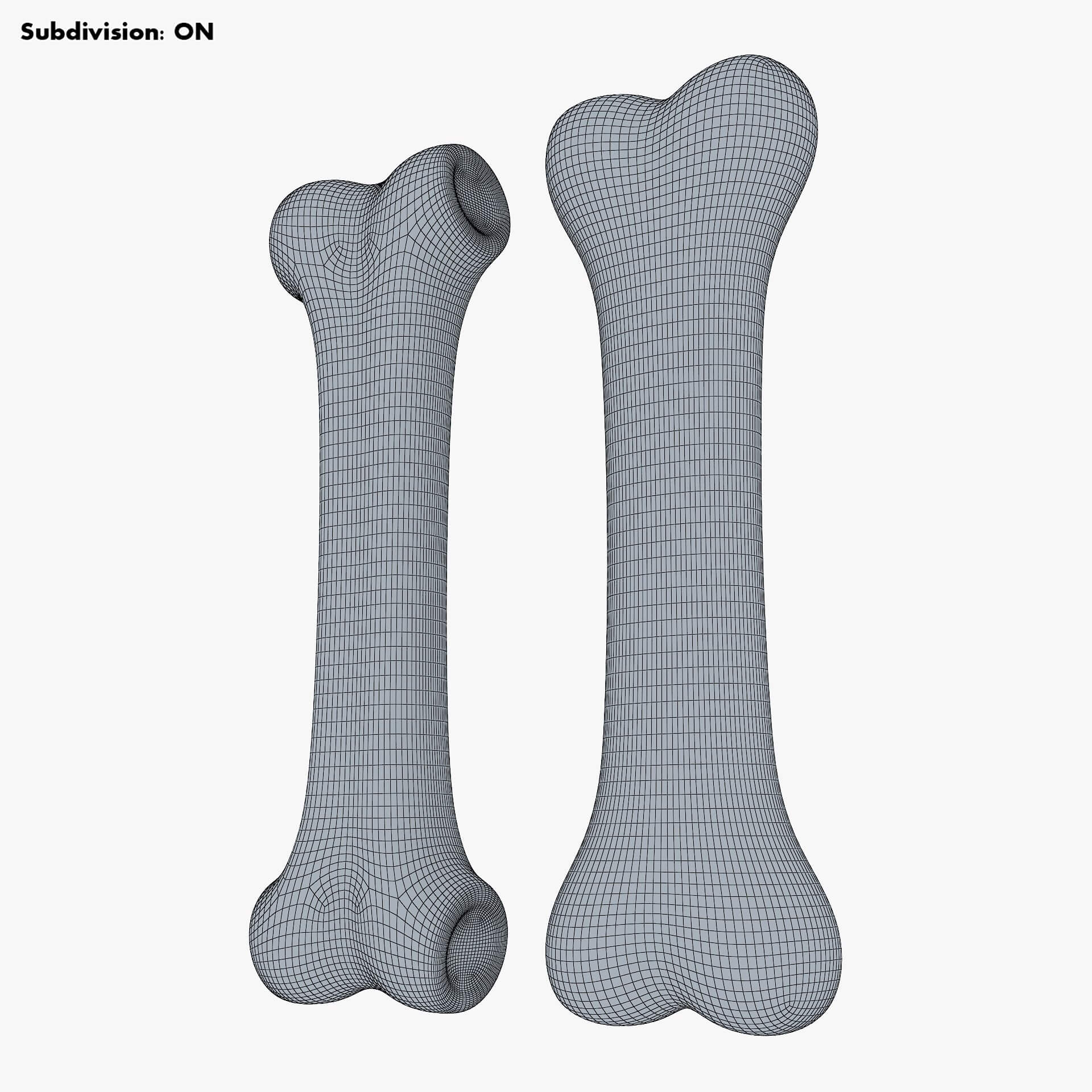 Cartoon Bones V 2 - 3D Model by Zurel