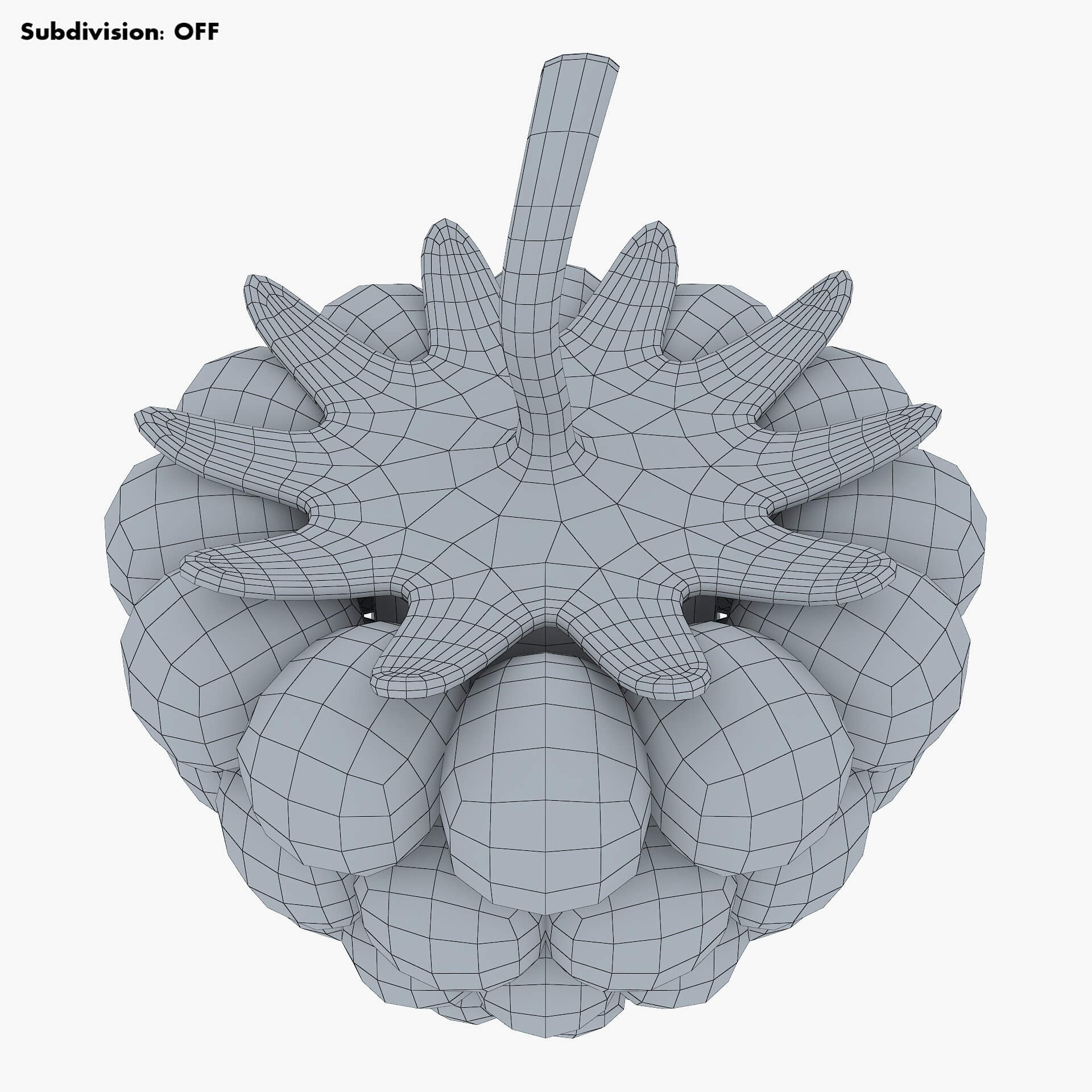 Cartoon Raspberry V 2 - 3D Model by Zurel