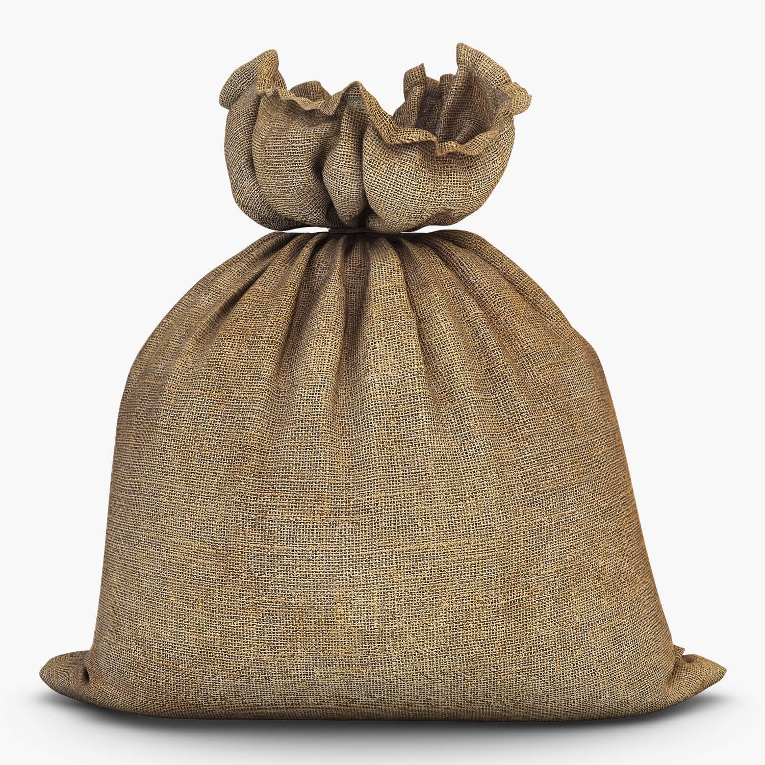 Sack V 4 - 3D Model by Zurel