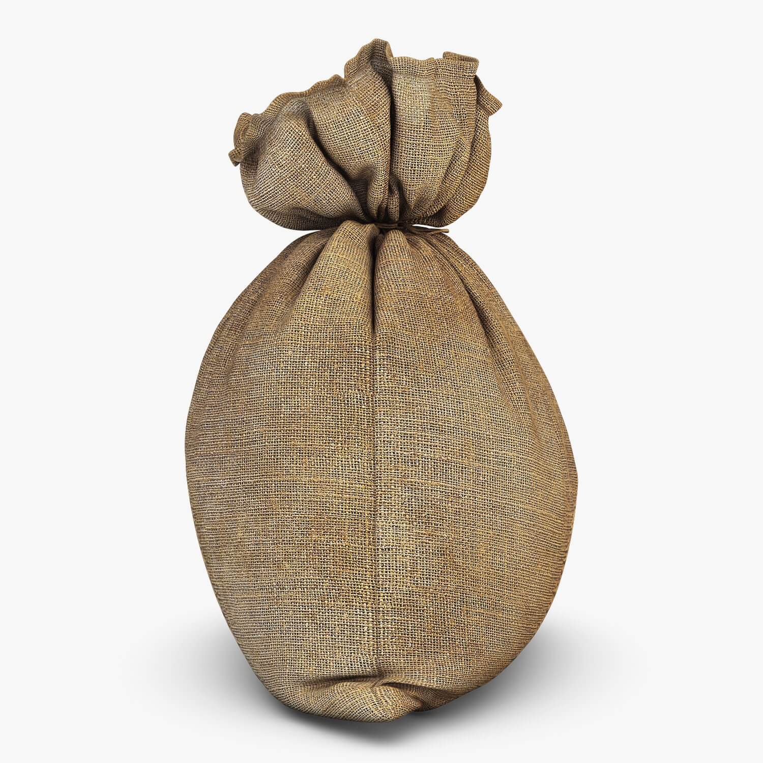 Sack V 4 - 3D Model by Zurel