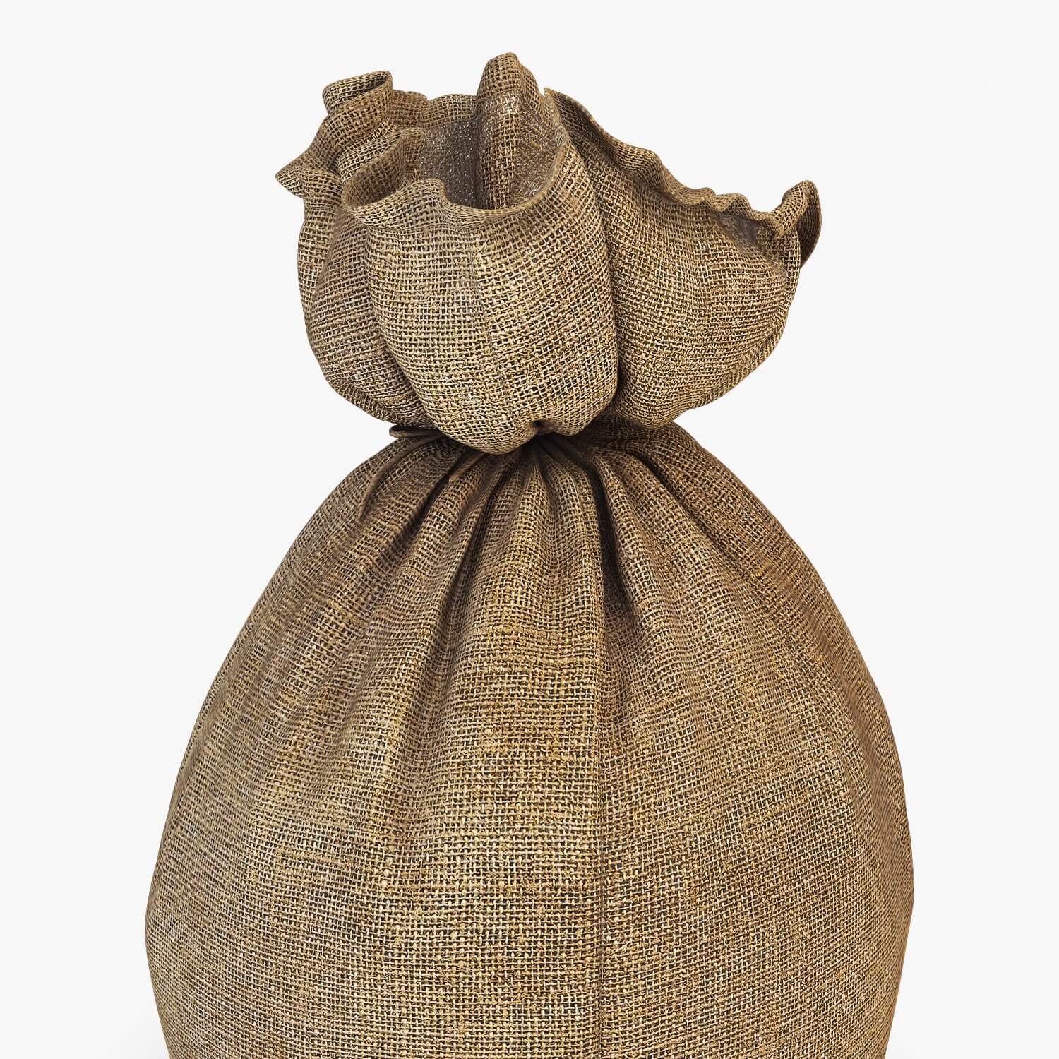 Sack V 4 - 3D Model by Zurel