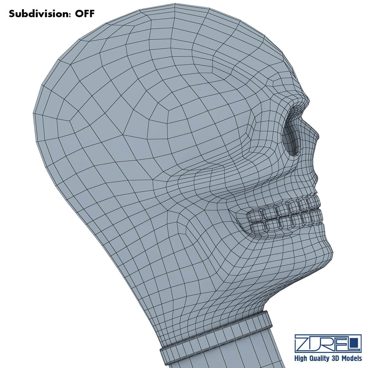 Skull - 3D Model by Zurel